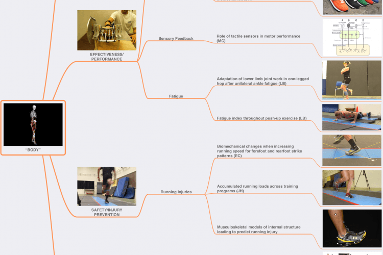 Neuromechanics Research Core | University of Maryland | School of ...